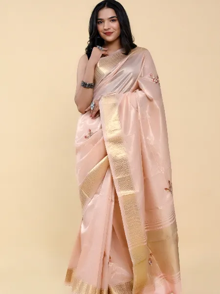 Light Pink Hand Work Saree in Woven Cotton With Zari Weaving Border in ...
