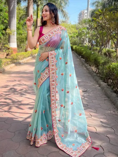 Sky Color Saree in Twill Net With Multi Thread and Jari Work With ...